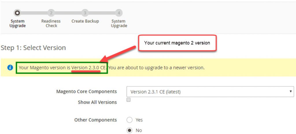 How to check Magento 2 version (working methods 2021)